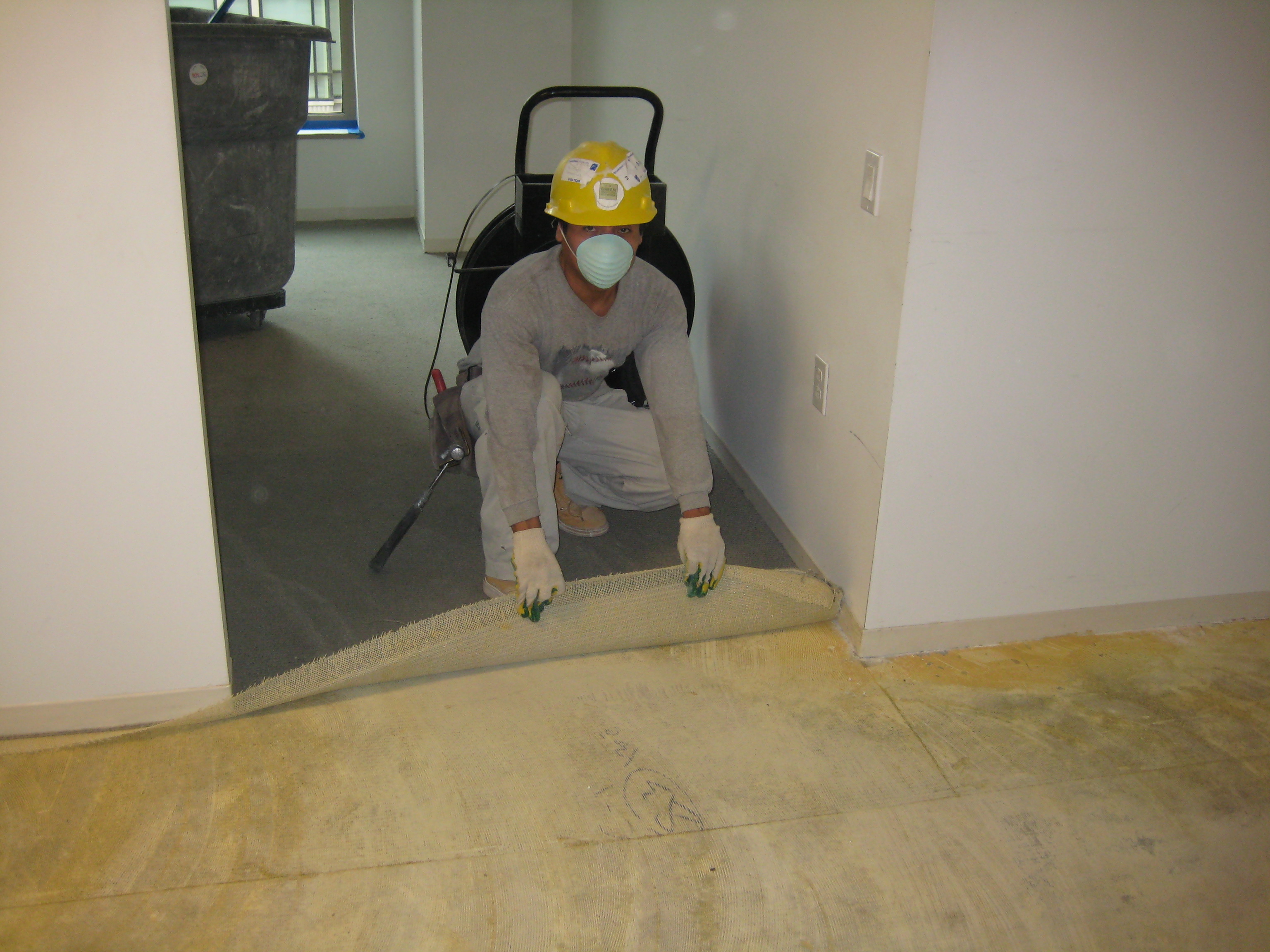 Removing Carpet