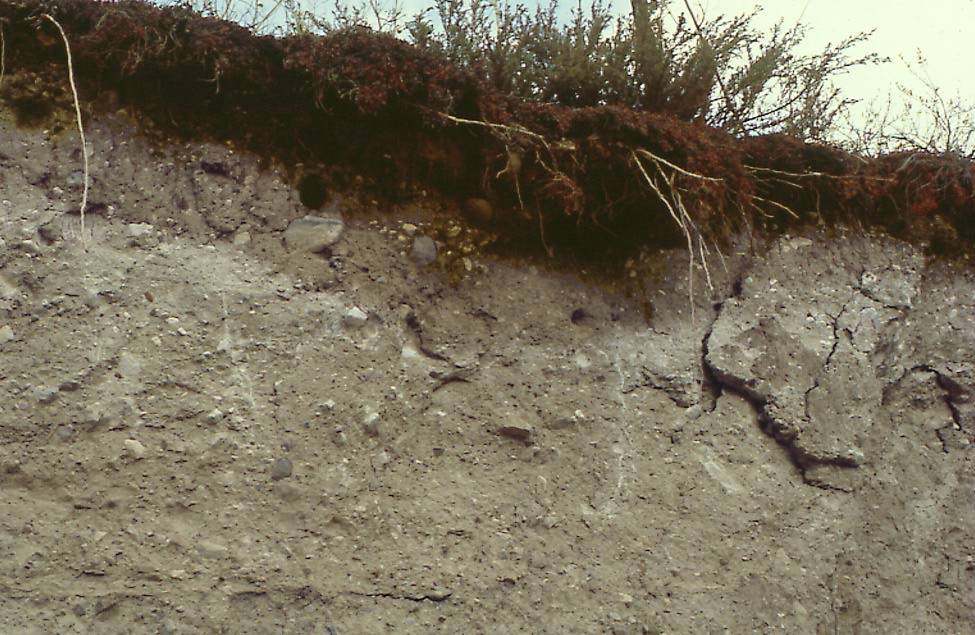 Soil Properties & Classification